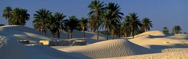 Guide de voyage kebili - Tunisie | Travelstore